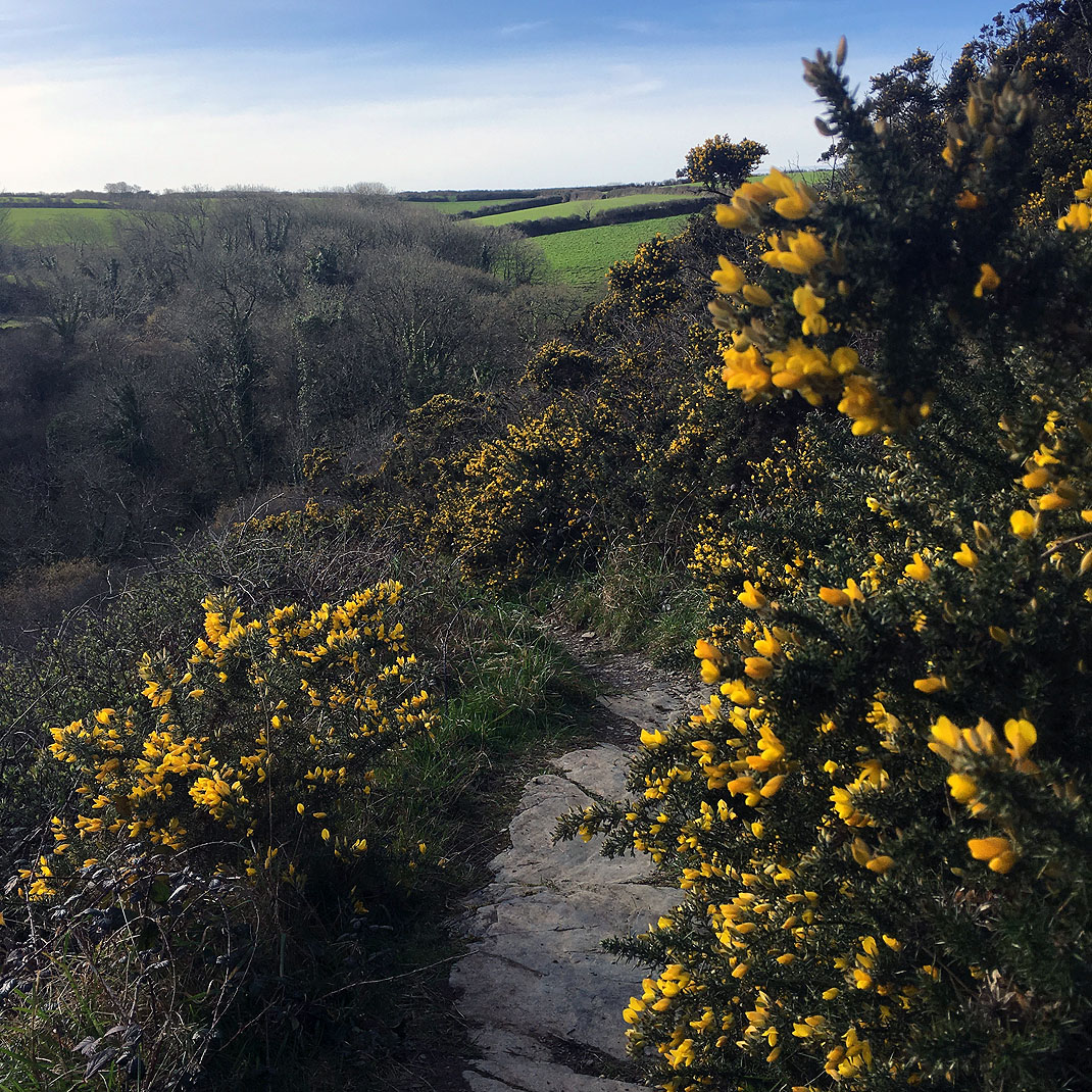 Quarry House - Overview | The Wow House Company